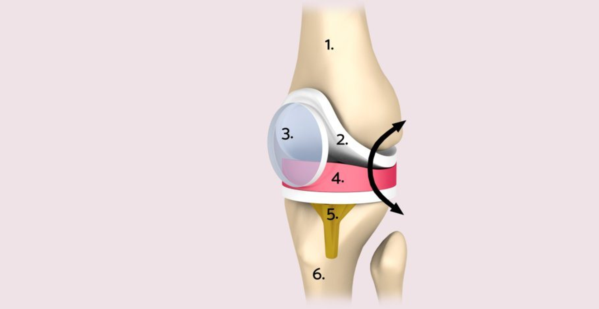 Artificial knee joint